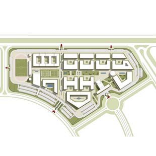 Landscape Design Archives - Okoplan